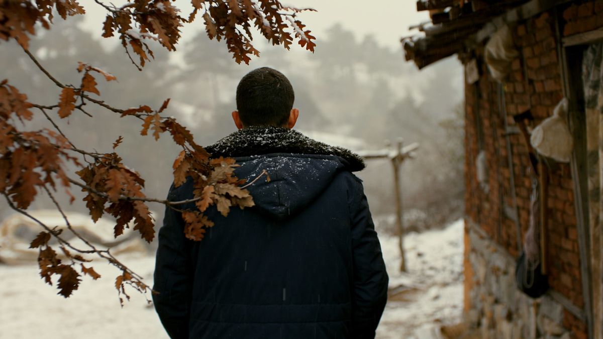 24 de filme pe care sa le vezi in 2019! – BLOGU LU' OTRAVĂ